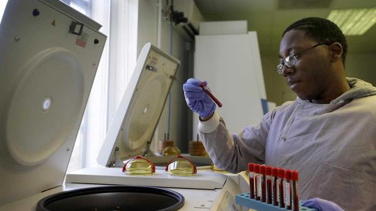 UK scientists to immunise hundreds with coronavirus vaccine - The Hindu