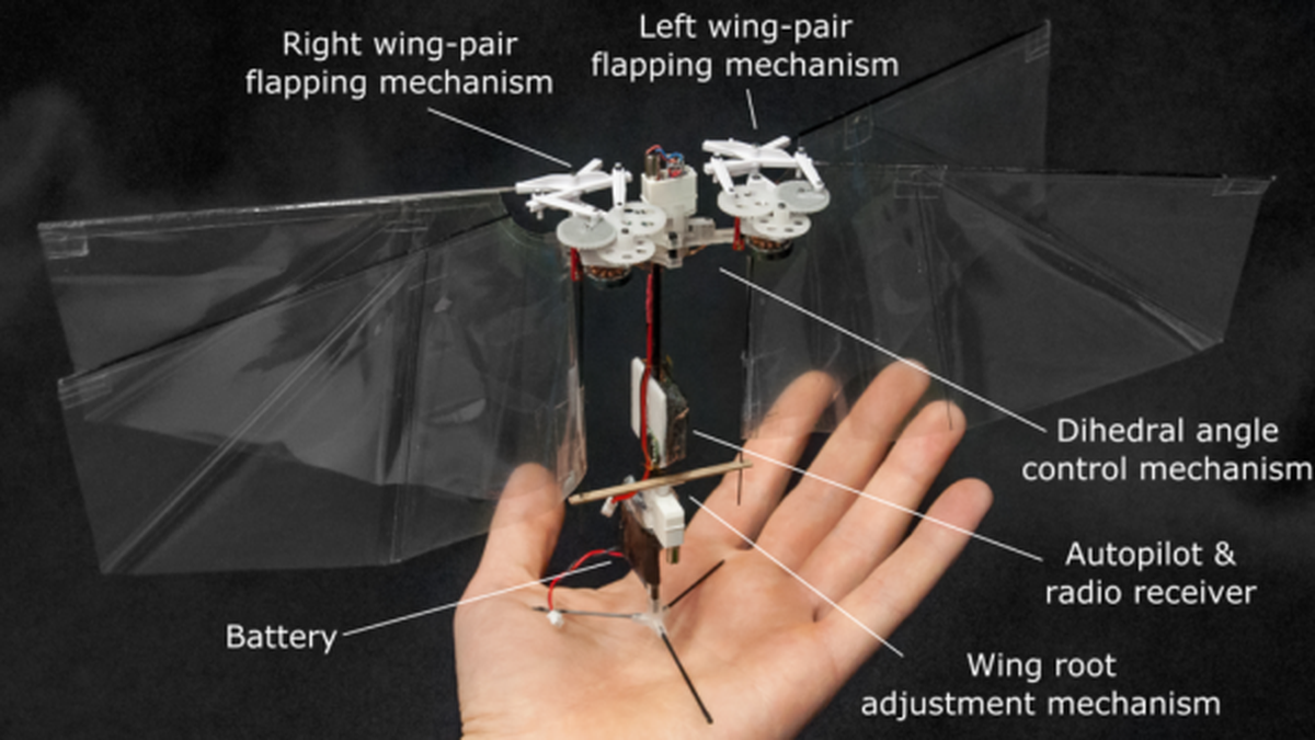 Watch: Insect-inspired flying robot - The Hindu