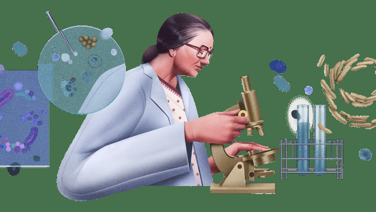 Google honours biologist Kamal Ranadive with doodle - The Hindu
