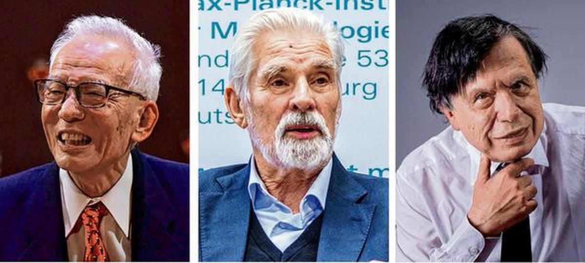 Explained | The 2021 Nobel Prize in Physics - The Hindu