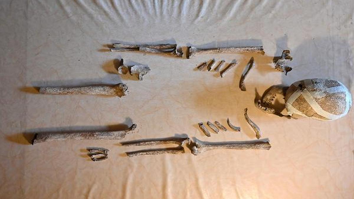Ancient skeleton offers clues on prehistoric era - The Hindu