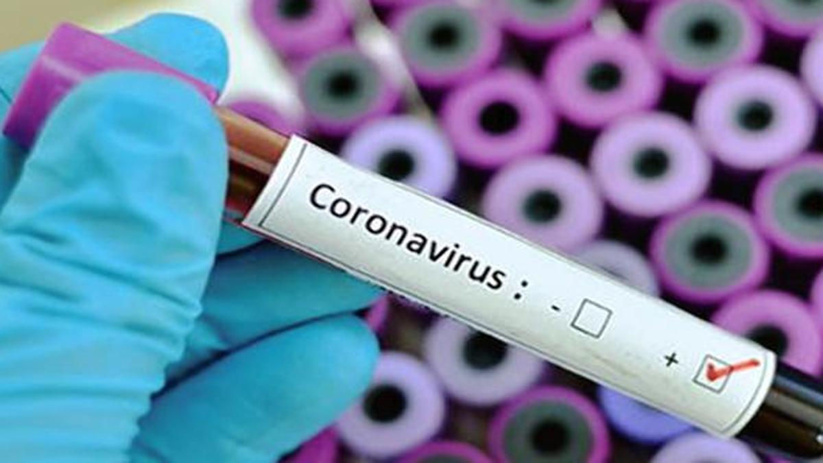 A protocol for pooled RT-PCR testing of COVID-19 - The Hindu