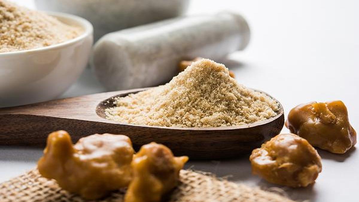 Unravelling the molecular biology of asafoetida - The Hindu