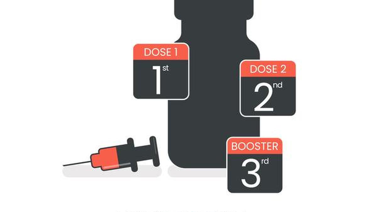 Do booster shots work? - The Hindu