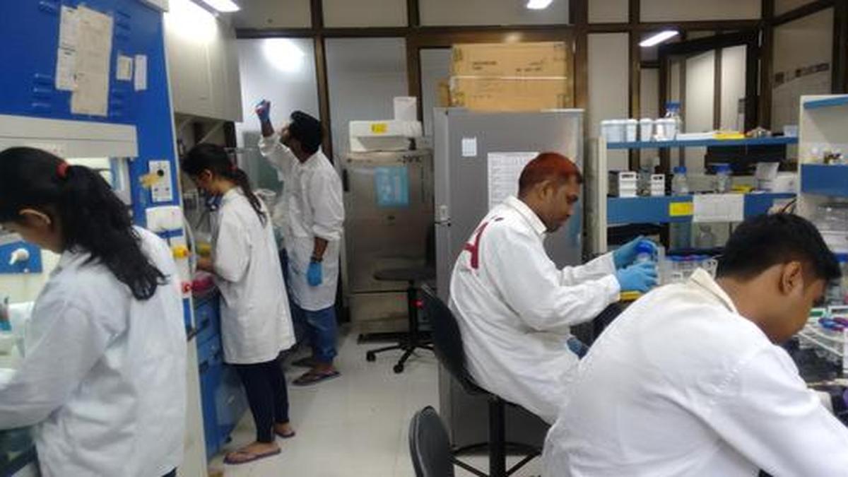 IIT Bombay researchers a step closer to treating Parkinson’s disease ...