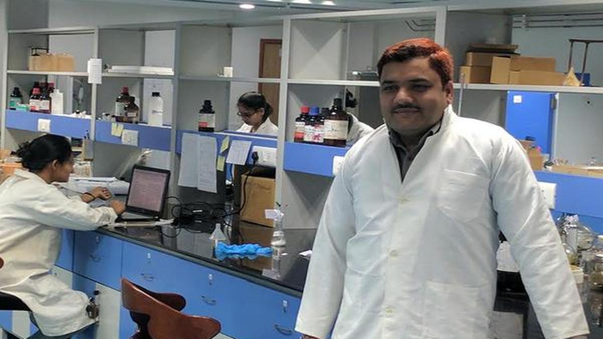 Indian researcher uses novel strategy to increase wheat yield - The Hindu