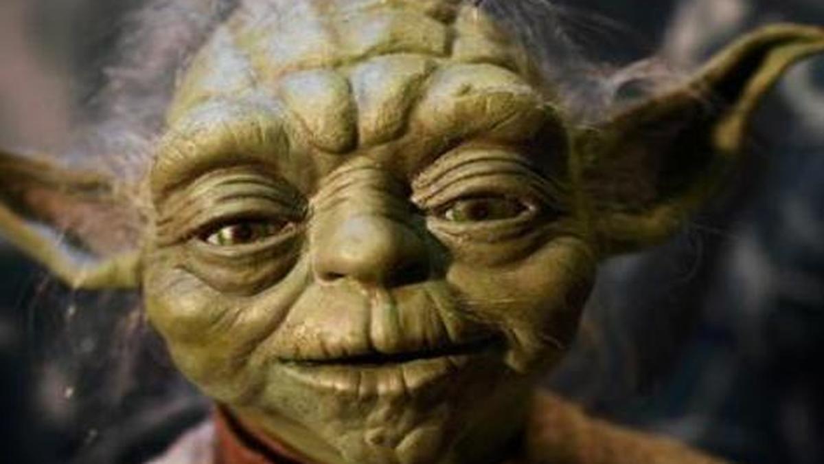 New bat species resembles Star War’s character ‘Yoda’ - The Hindu