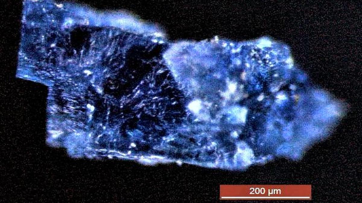 Building blocks of life seen in meteorites that fell in 1998 - The Hindu