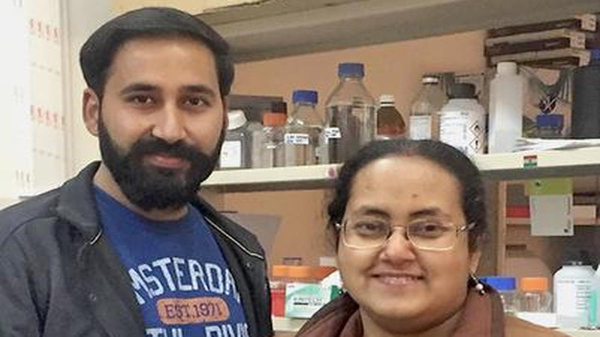 IIT Kanpur team finds possible cause of neurodevelopmental disorders ...