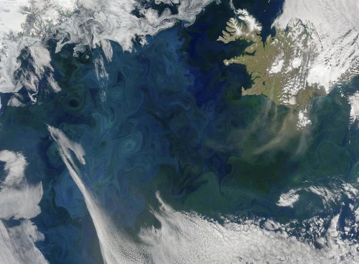 NASA to study how tiny sea creatures affect Earth’s climate - The Hindu