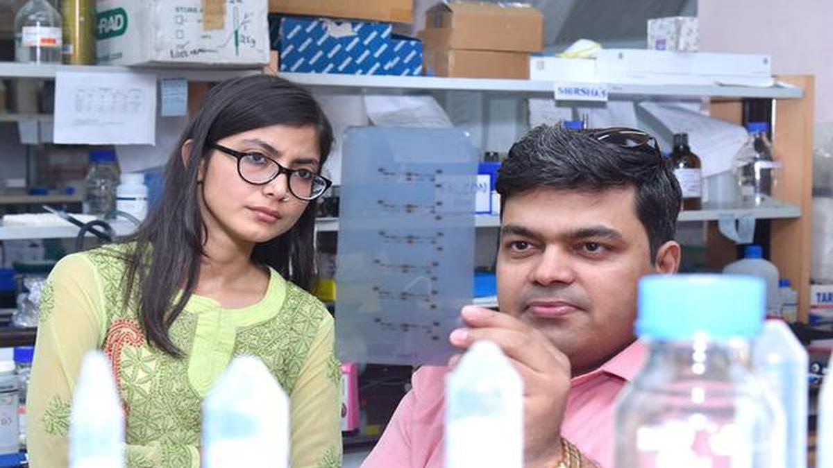IIT Kanpur identifies novel molecule to control hyper inflammation ...