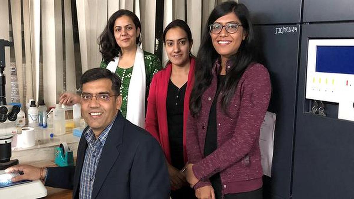 IIT Roorkee team uses tamarind seed protein to treat chikungunya - The ...