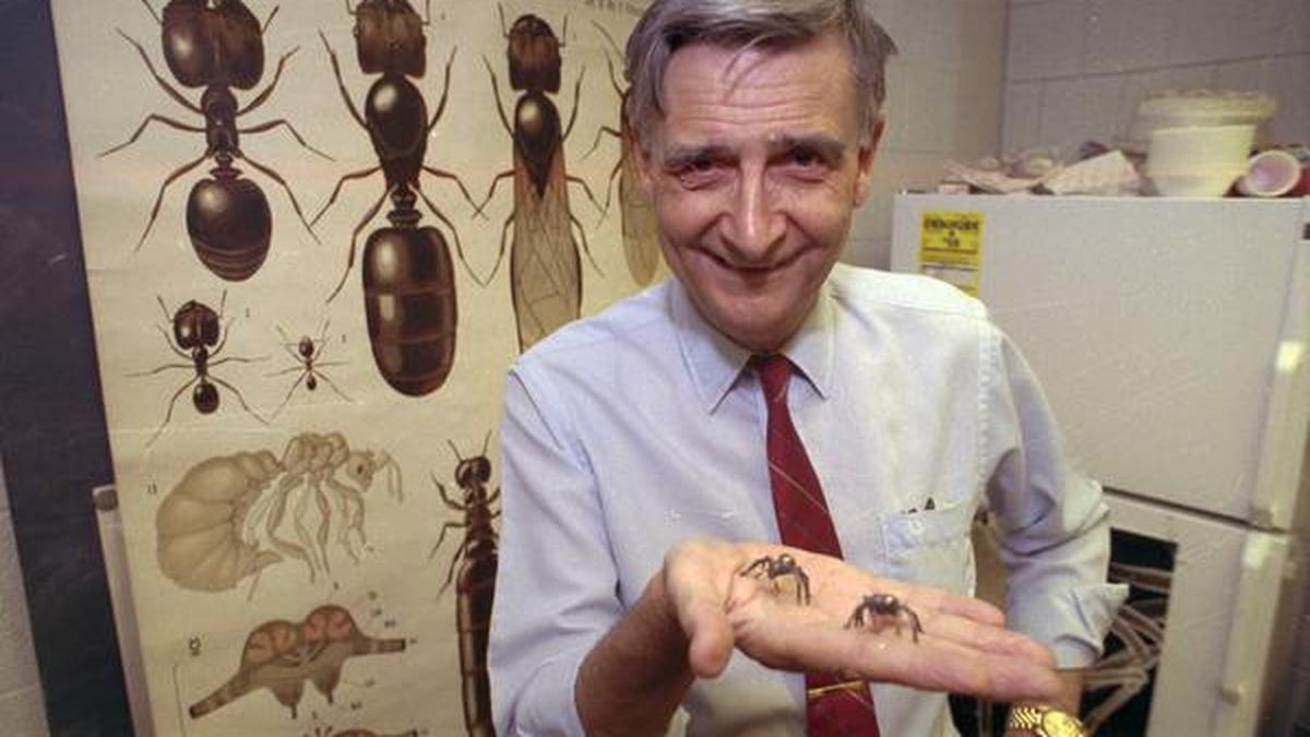 Scientist E.O. Wilson, dubbed modern-day Darwin, dead - The Hindu