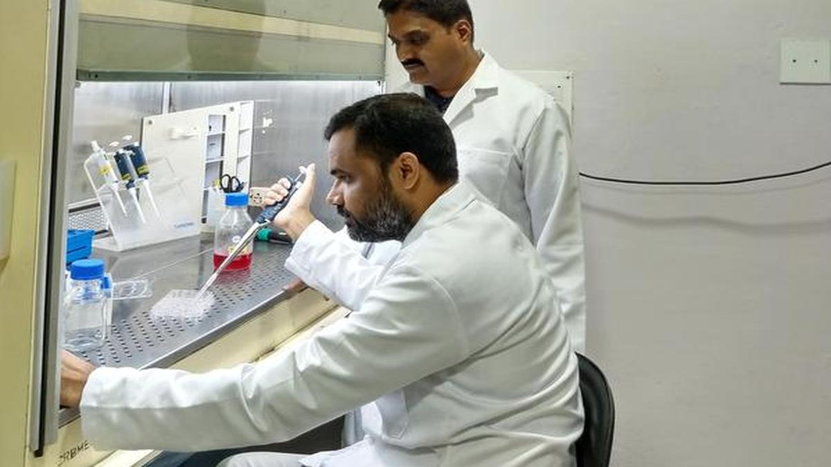 In a first, IISc team directly delivers protein into cells - The Hindu