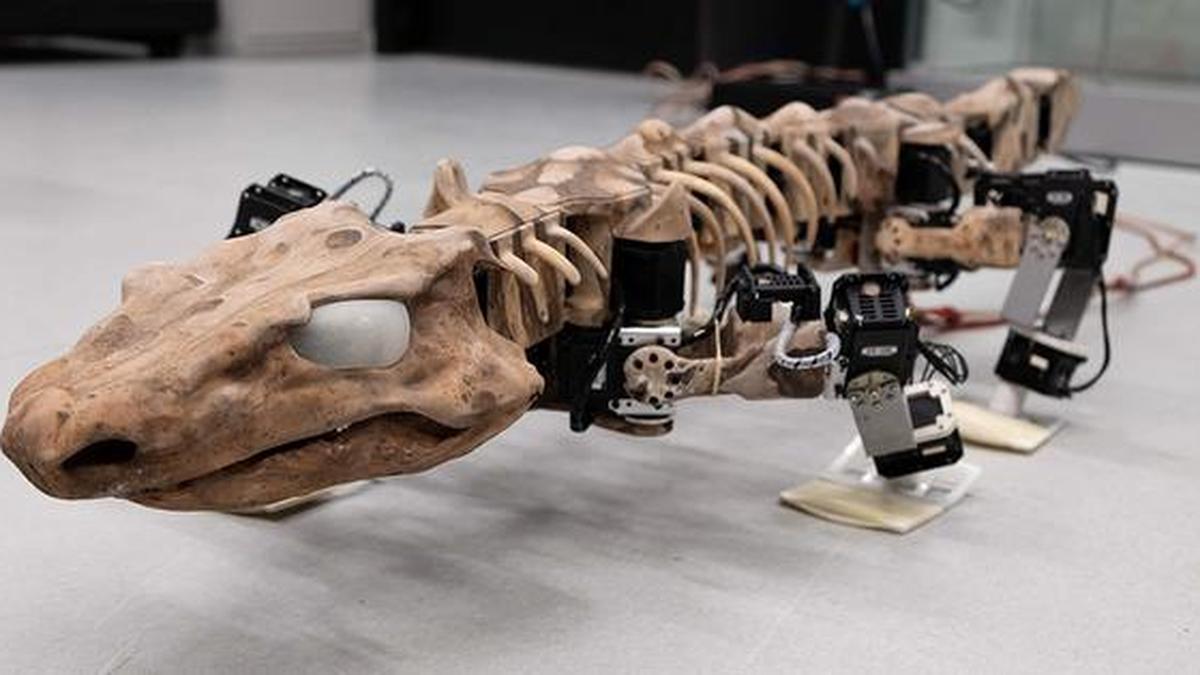 Robot recreates the walk of a 290-million-year-old creature - The Hindu