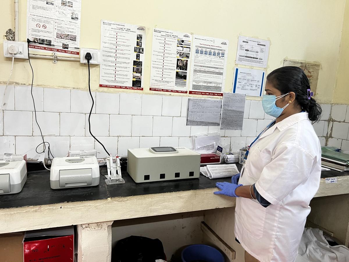 Improved drug regimens for TB to cut treatment time - The Hindu