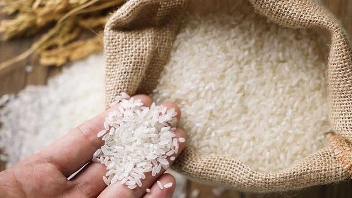 Inescapable risks of mandatory iron fortification - The Hindu