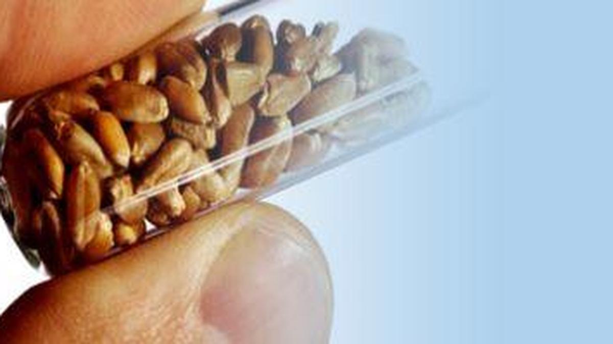 Tasty bites from defence food lab now set for space - The Hindu