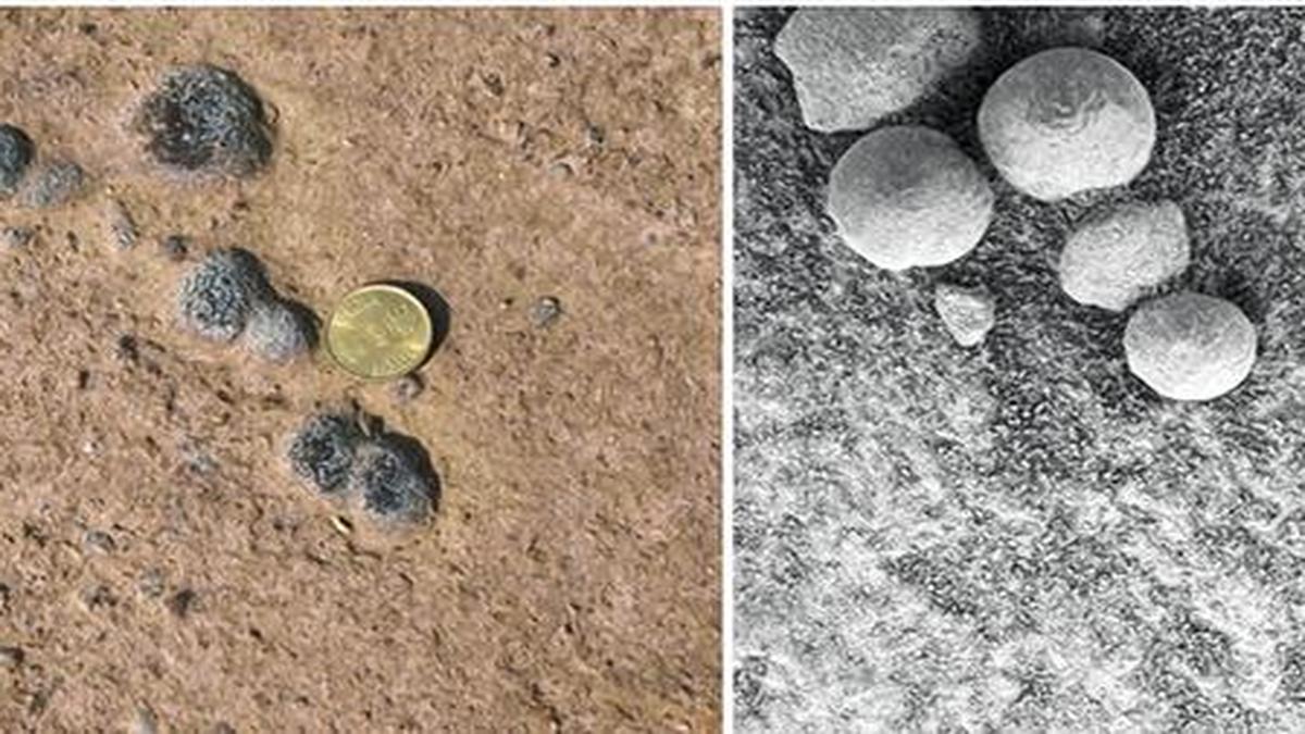 Martian ‘blueberries’ find a parallel on Earth - The Hindu