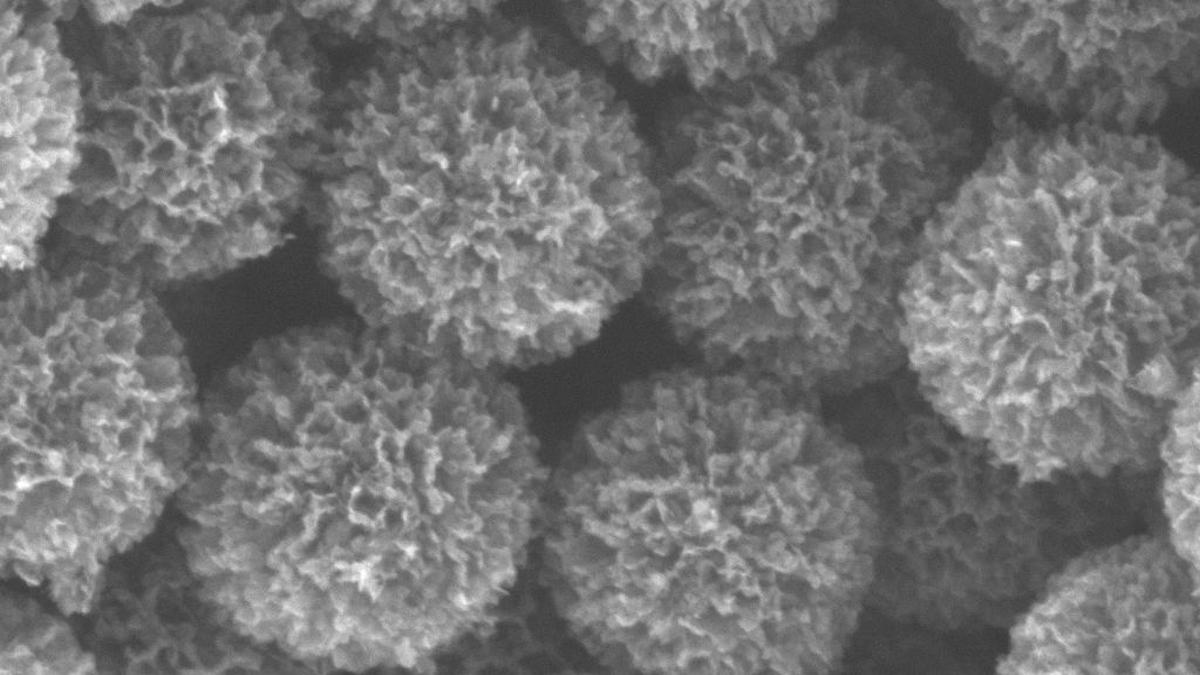 Tiny carbon ‘flowers’ turn light to heat at unrivalled efficiency, IIT ...