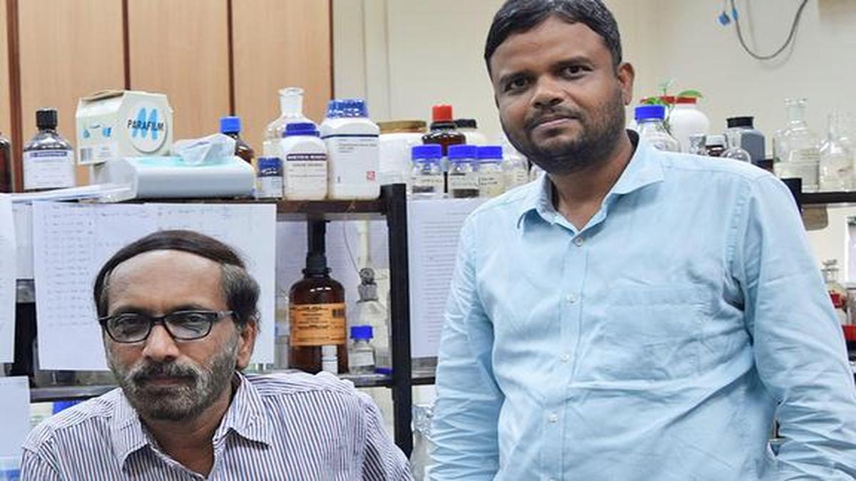 Scientists decode how mustard plants tolerate salt - The Hindu