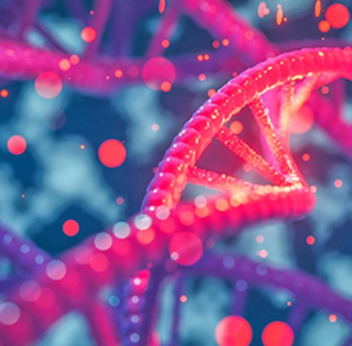 Explained | Do the new findings on genome sequencing provide a better ...