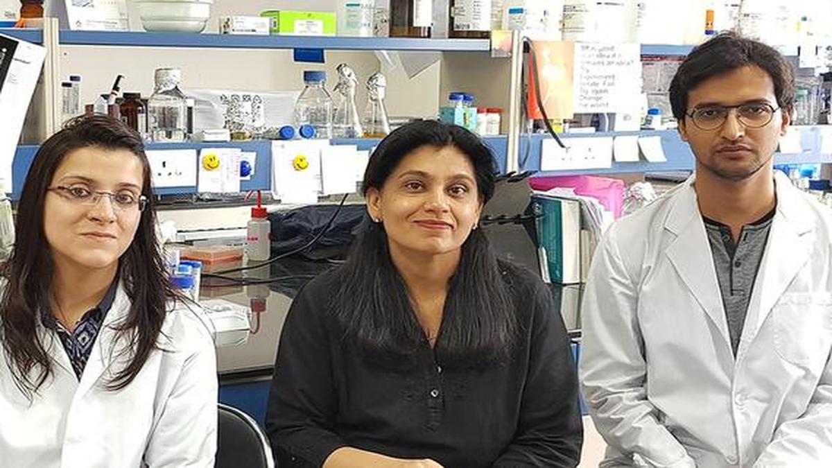 IIT Roorkee finds new drug target for antibiotic-resistant bacteria ...