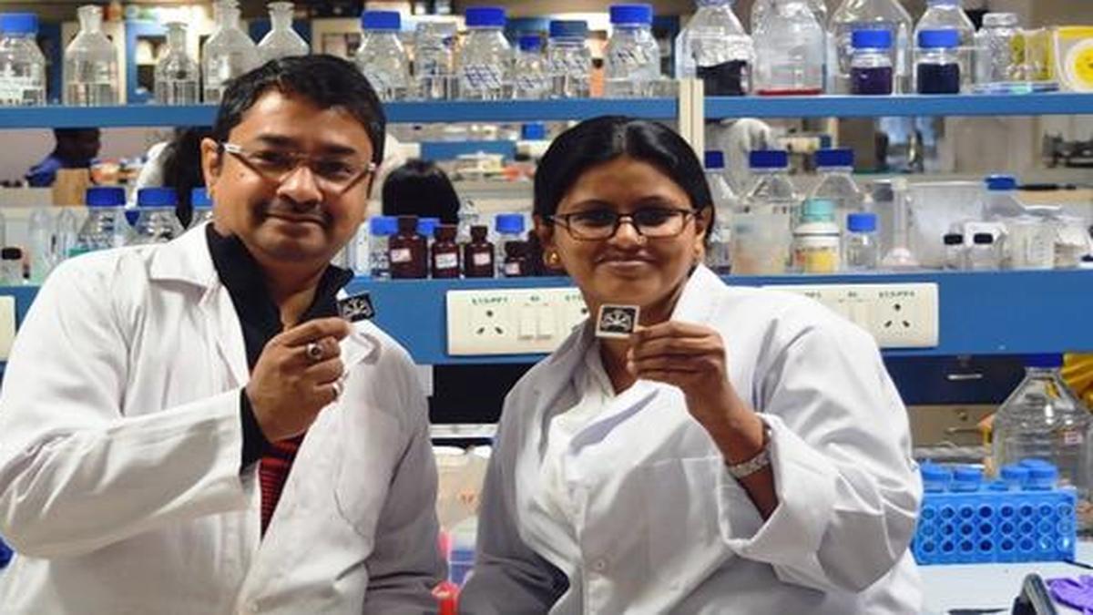 CCMB uses paper-based device to determine lipid profile - The Hindu