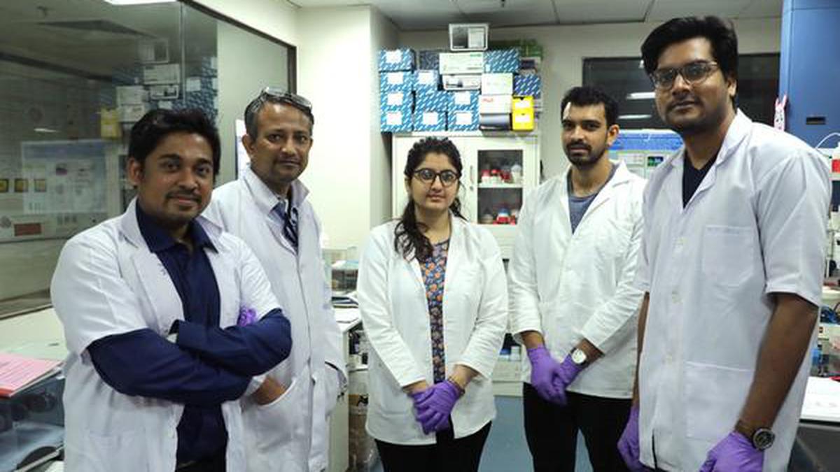 2020: When Indian scientists shifted focus to COVID-19 and made huge ...