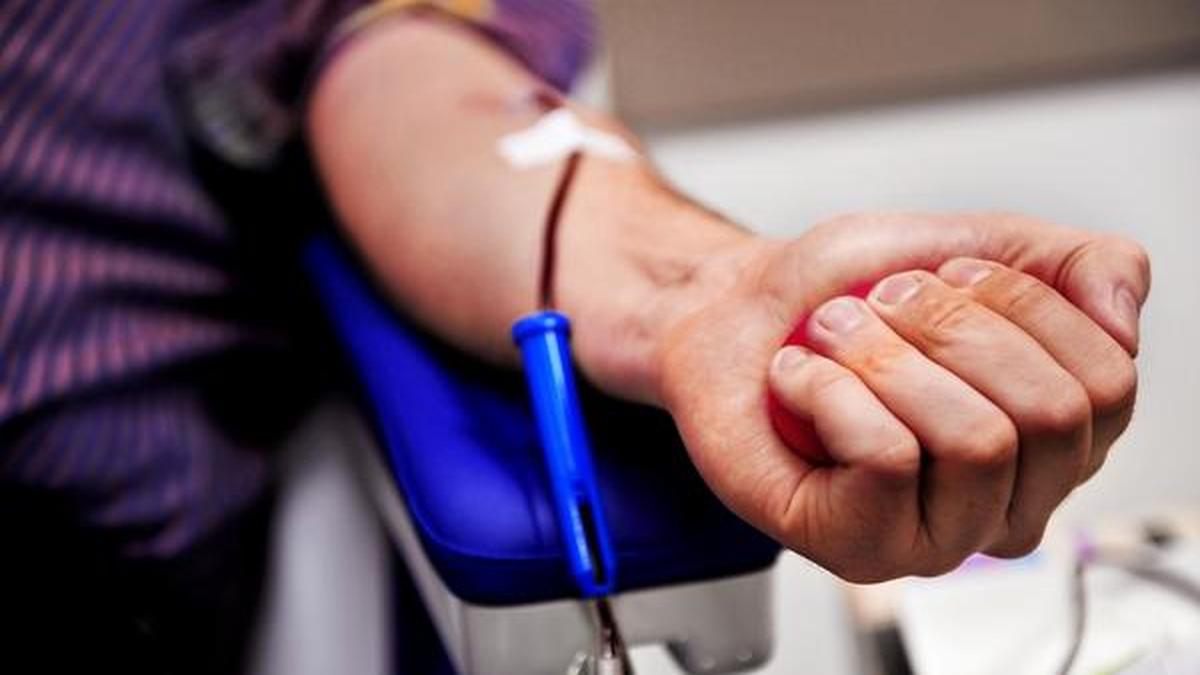 Blood banks drop in collection with second wave of COVID-19 - The Hindu