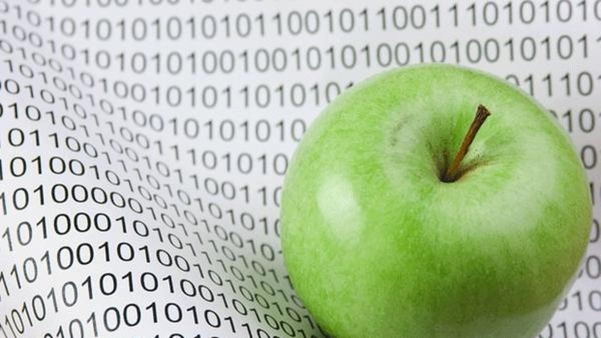 Micro-chips: the scoop on computational gastronomy - The Hindu