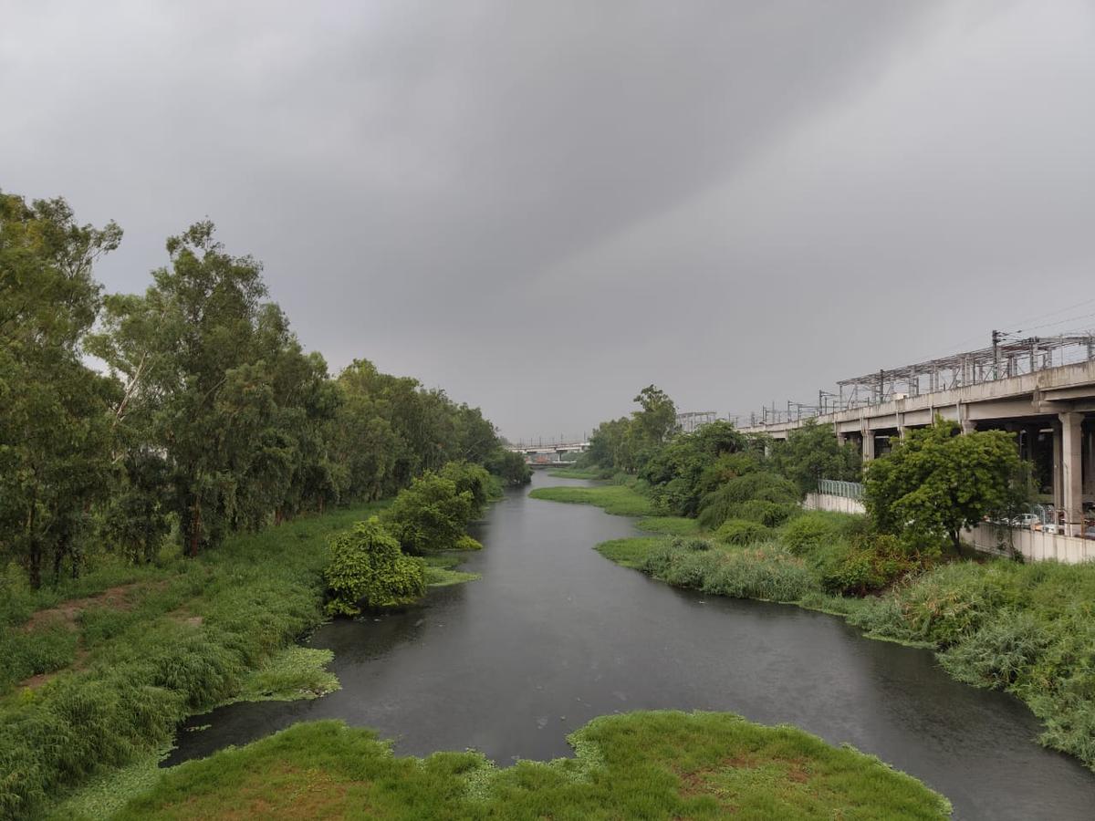 Nothing Phone 1 camera review: A balancing act without gimmicks - The Hindu