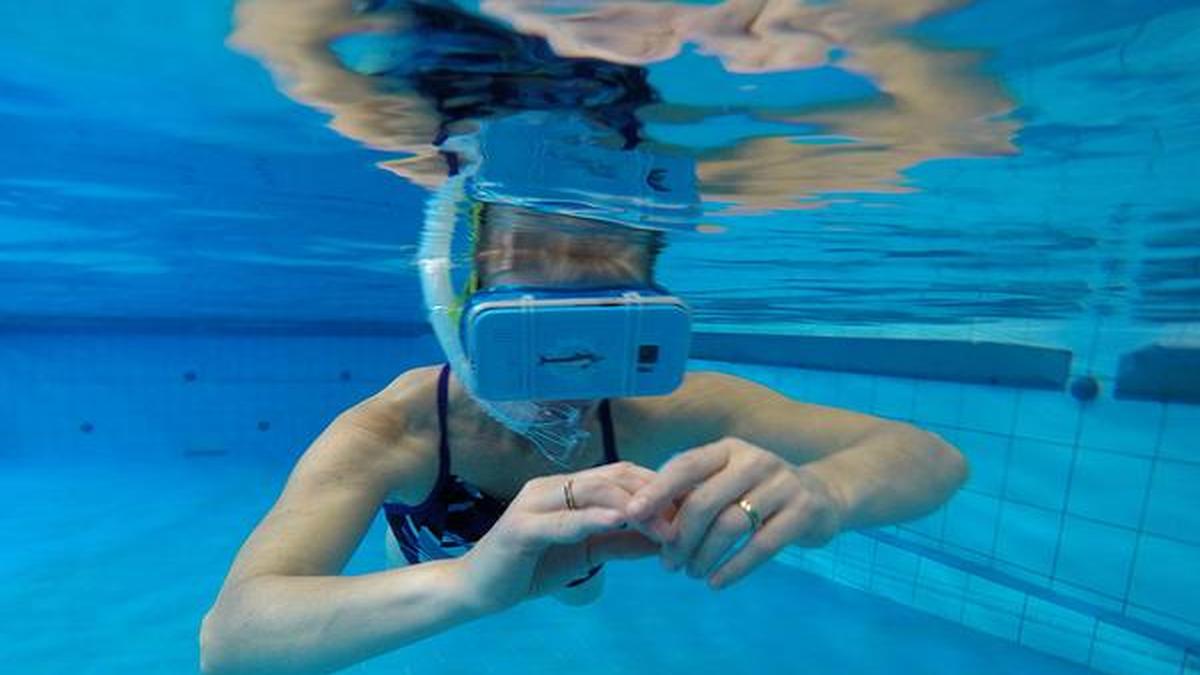 Welcome to the Dolphin Swim Club - The Hindu