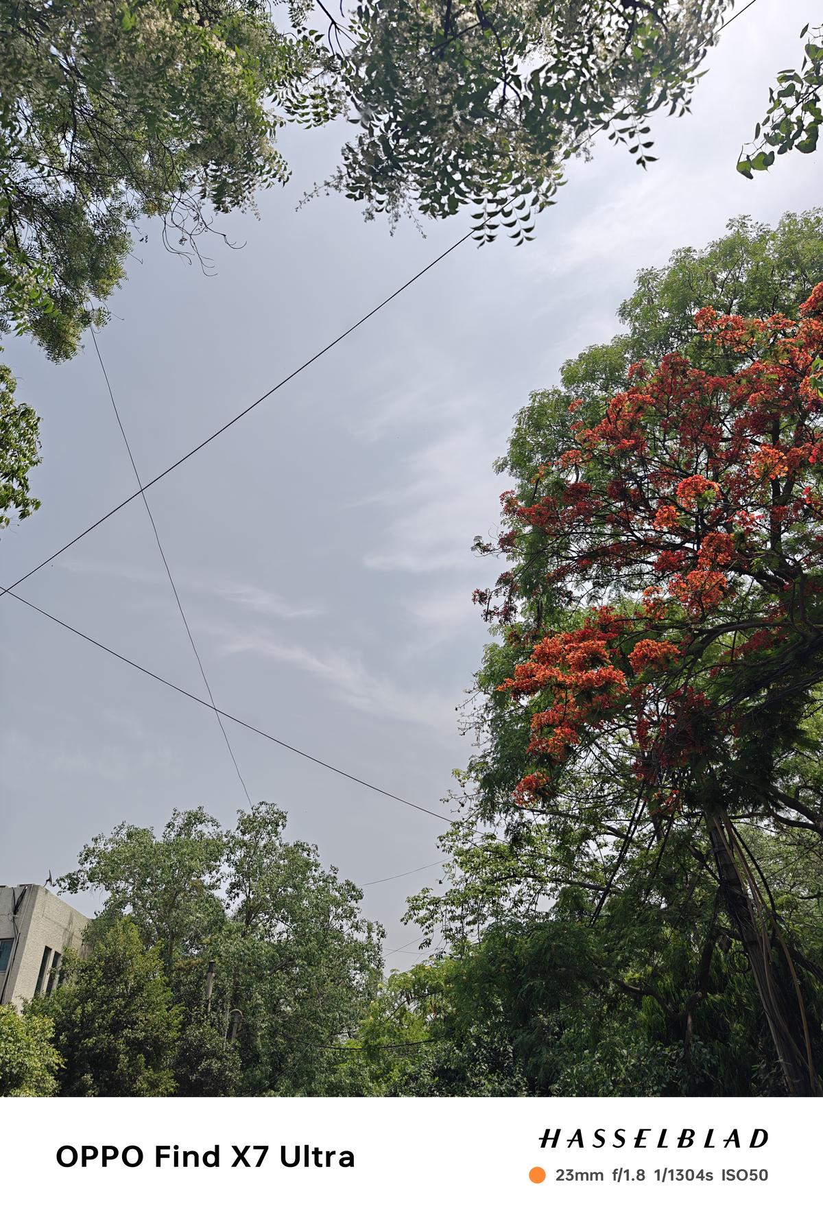 Oppo Find X7 Ultra Review: Shapes up as a capable flagship - The Hindu