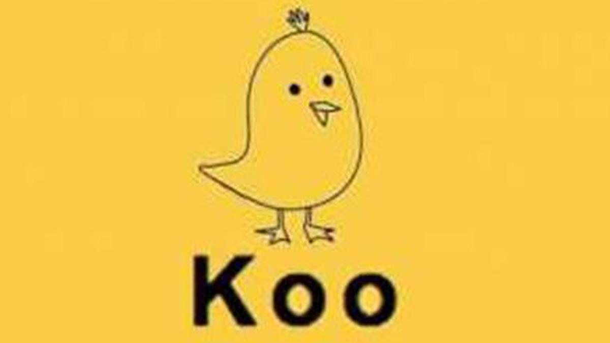 Koo App: Signing up, privacy concerns, and more - The Hindu
