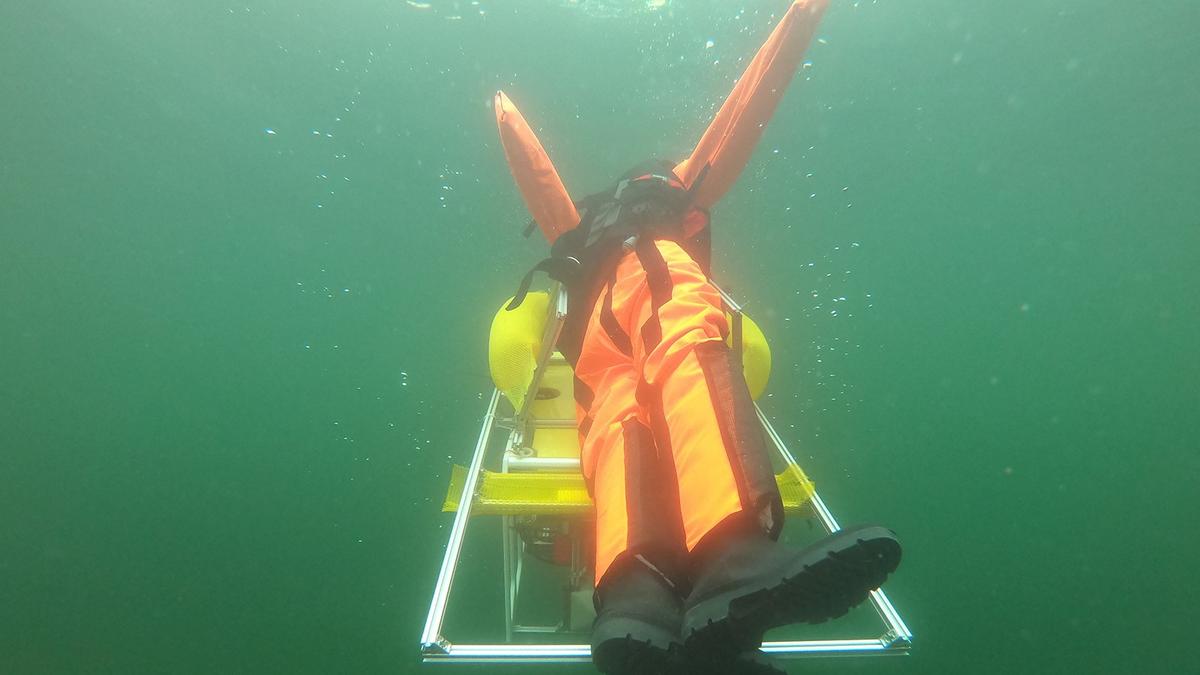 An aquatic robot can now save people from drowning - The Hindu