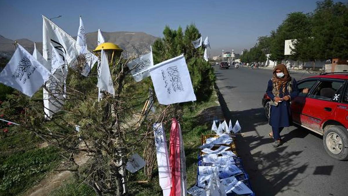 satire: Speaking about the Taliban - The Hindu