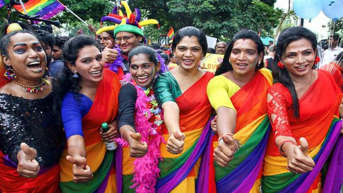 How the LGBTQ rights movement in India gained momentum - The Hindu