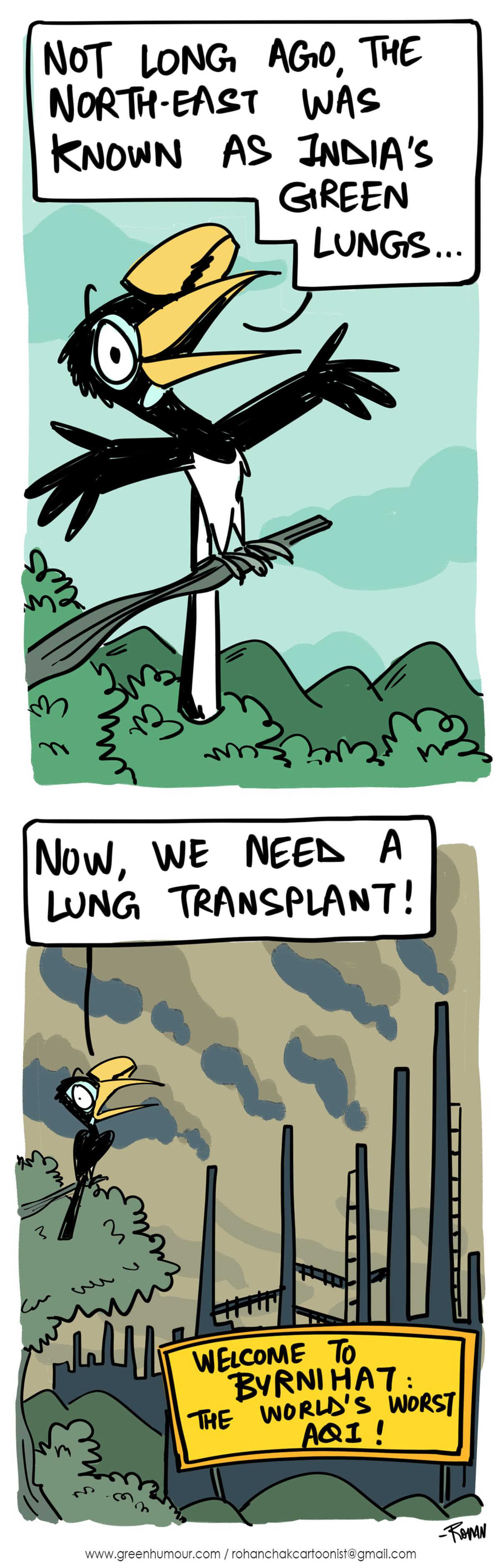 Byrnihat: world’s most polluted air | Green humour by Rohan Chakravarty ...