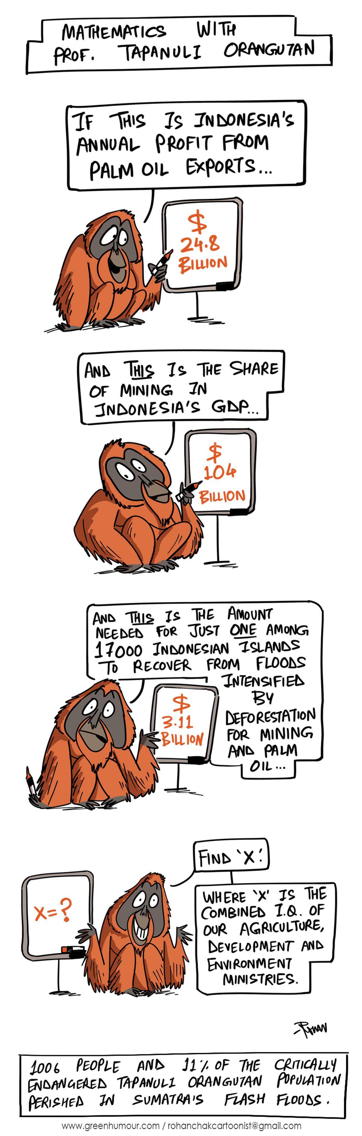On flash floods in Indonesia | Green Humour by Rohan Chakravarty - The Hindu