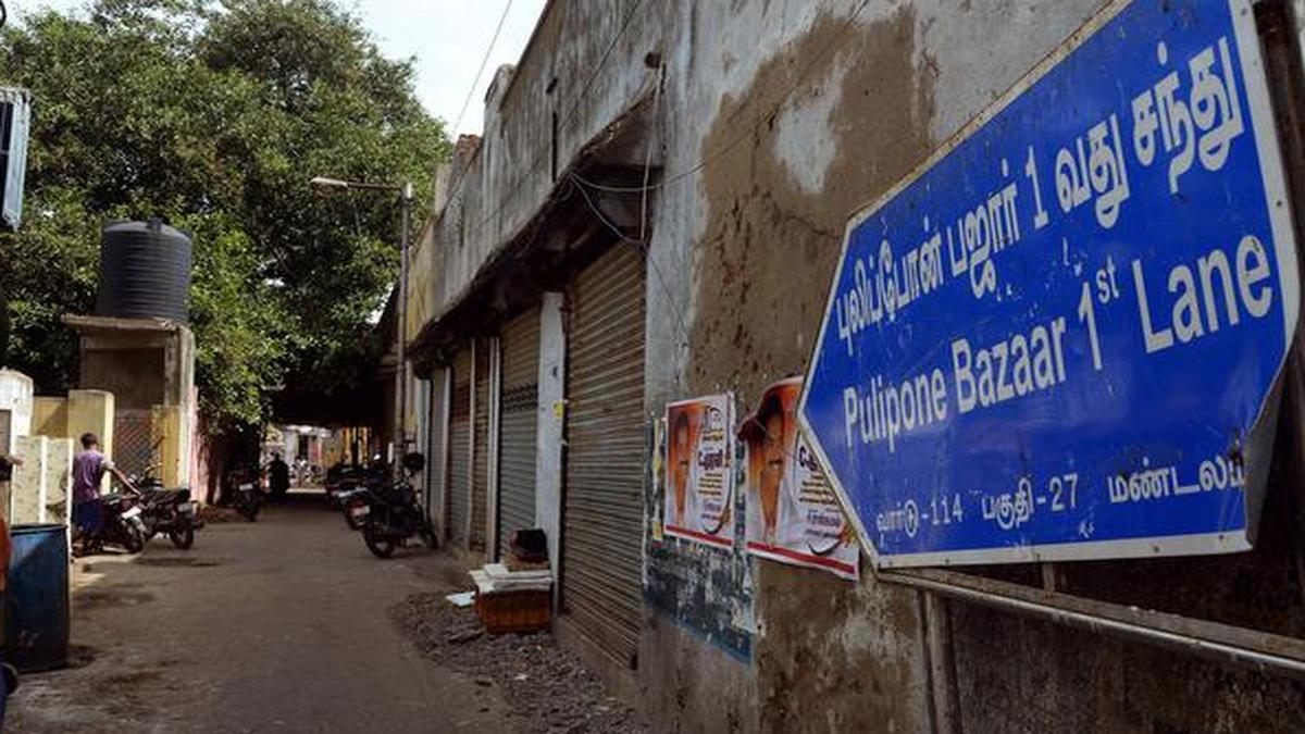 The tiger of Triplicane - The Hindu