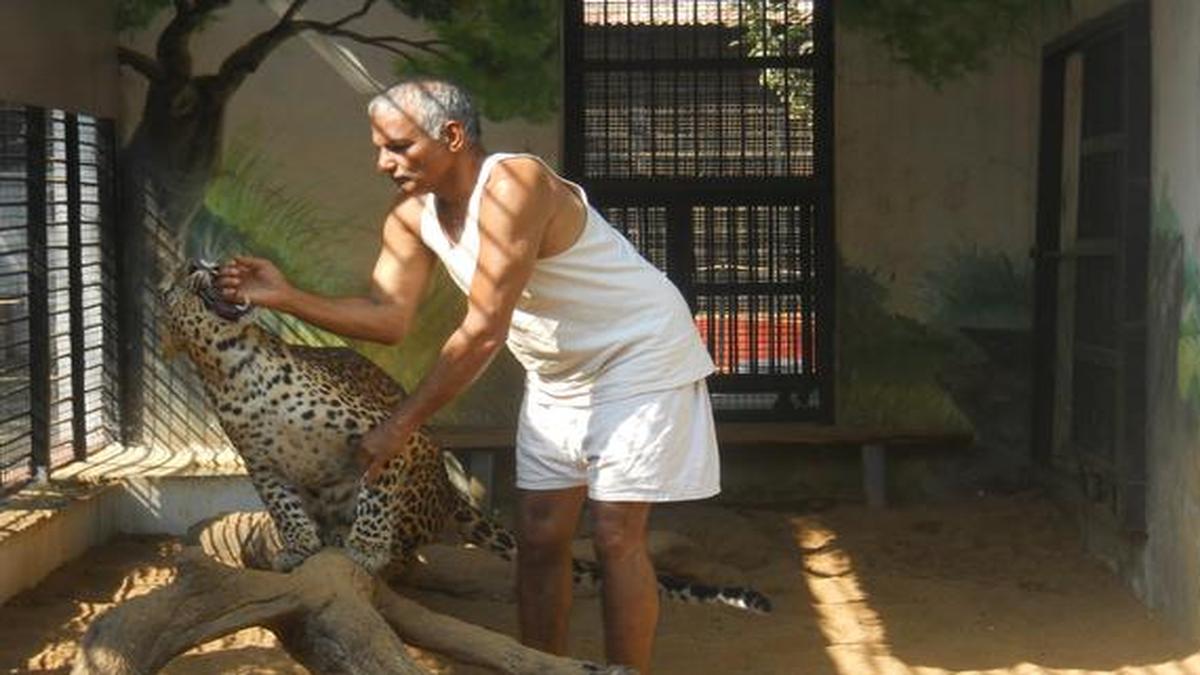 Amte’s menagerie that once had 10 leopards - The Hindu