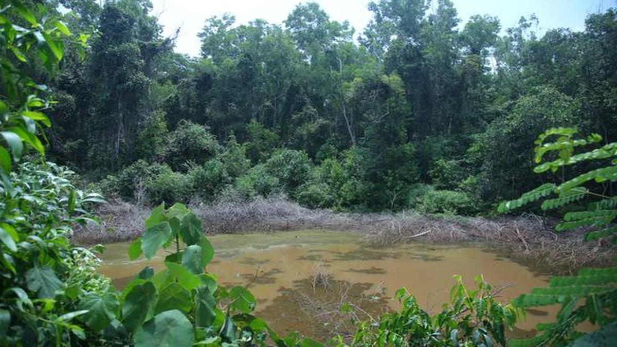 A new lease of life for Haimavathy - The Hindu