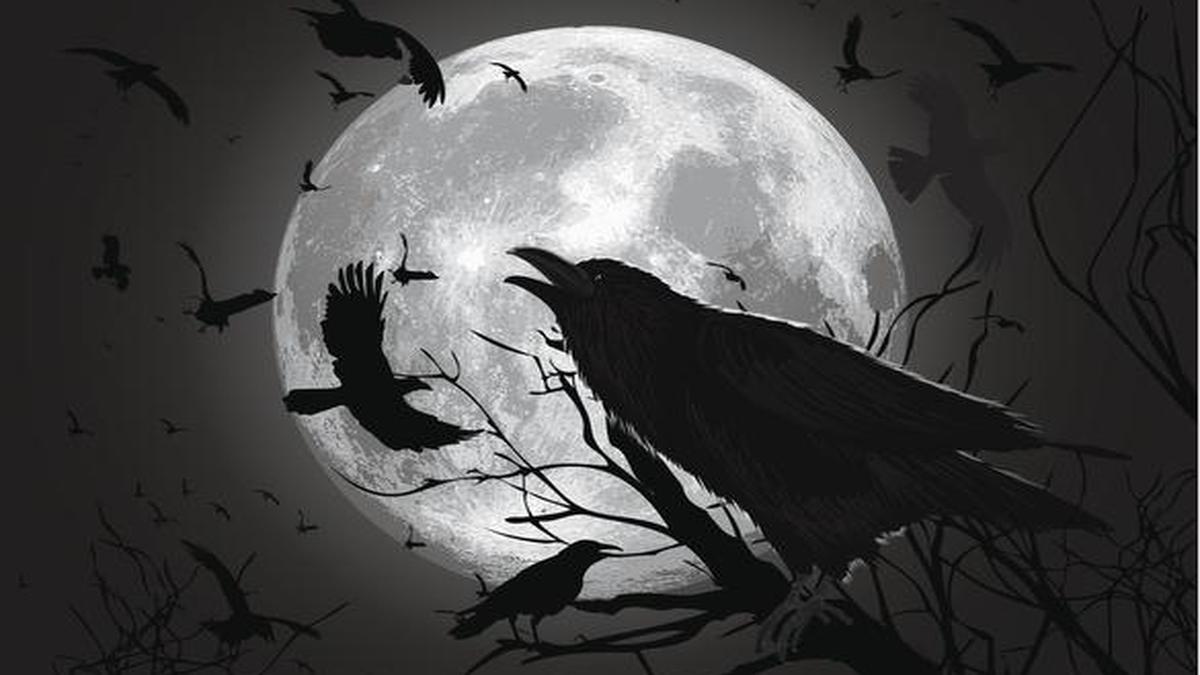 I need that sense of the crow in me, cawing about everydayness in quiet ...