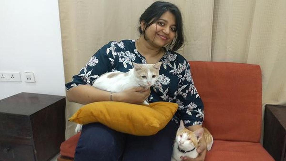 Rajah the footballer cat - The Hindu