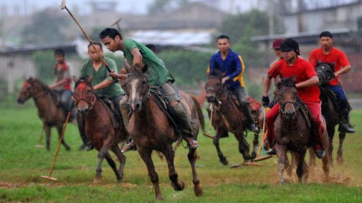 Iboyaima Laithangbam on the beloved Manipuri pony that faces the threat ...