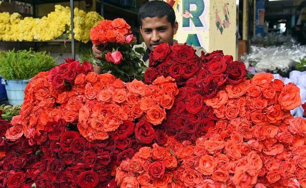 Rose Flower Farming In Kerala | Best Flower Site