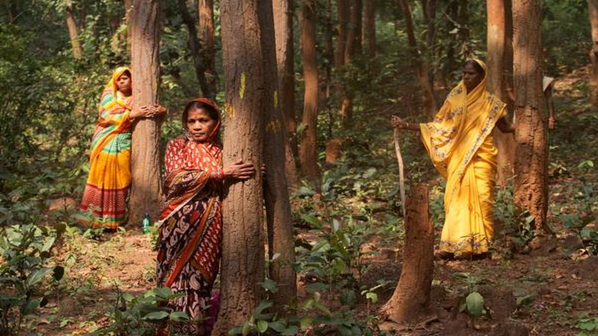 India’s indigenous communities are the best protectors of forestlands ...