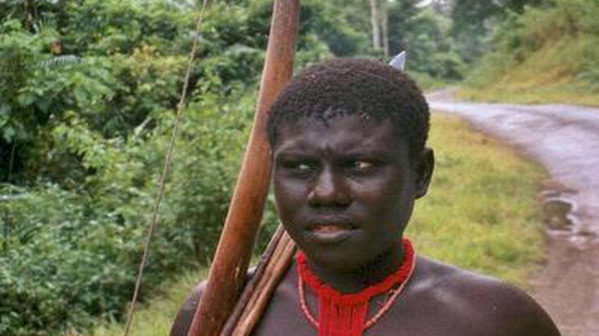 How an expensive transport project in the Andamans threatens the Jarawa ...