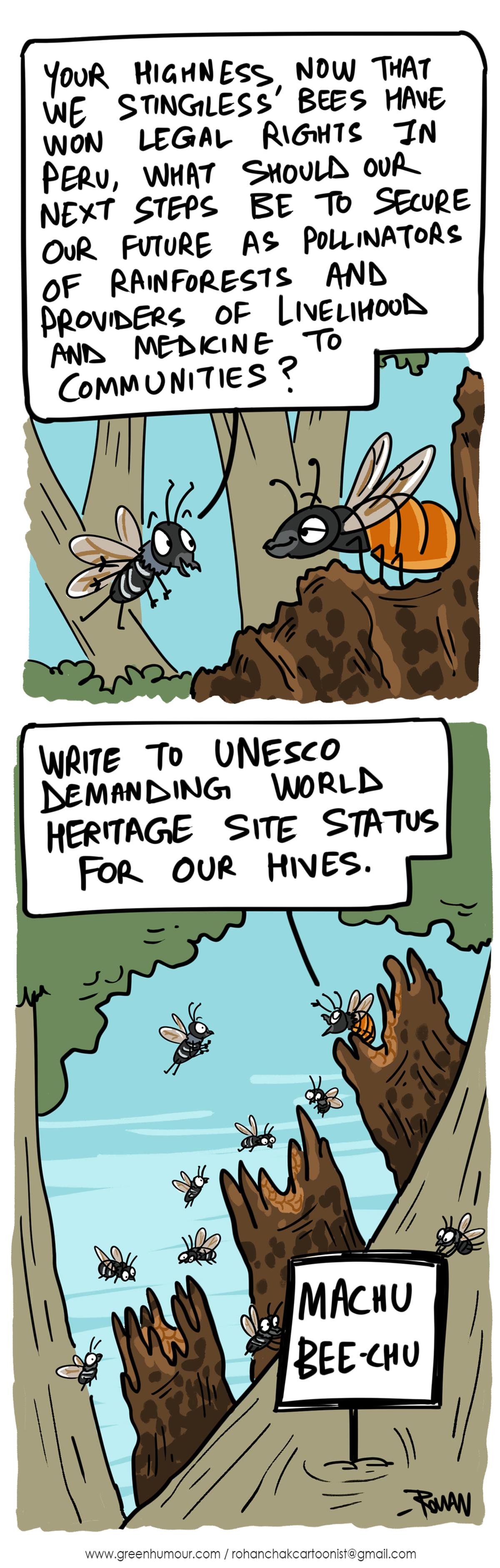 Stingless bees from Peru granted legal rights | Green Humour by Rohan ...
